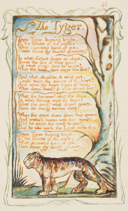 Interview: SF Said on ‘Tyger’ – The Impossible Library